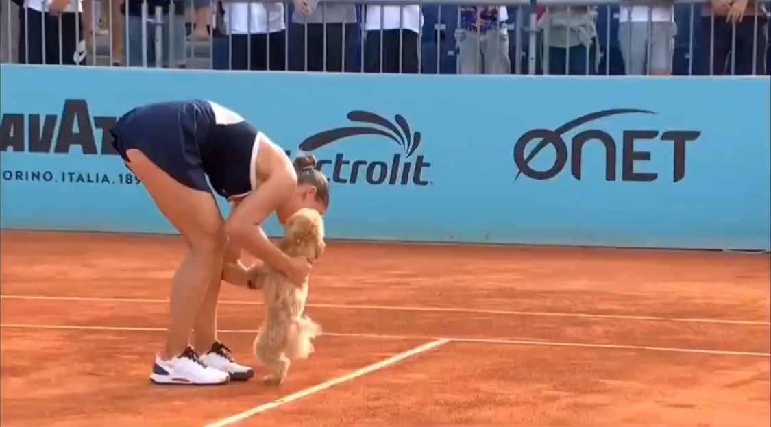 Vidéos, WTA - Madrid > La célébration la plus inattendue de l'année ...