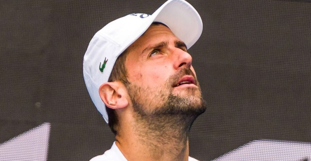 Open d'Australie > Danielle Collins : "Novak Djokovic est le plus grand ...